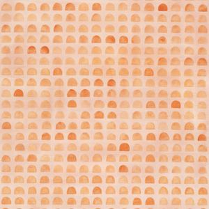 Collection Indomita | Mirage Ceramiche